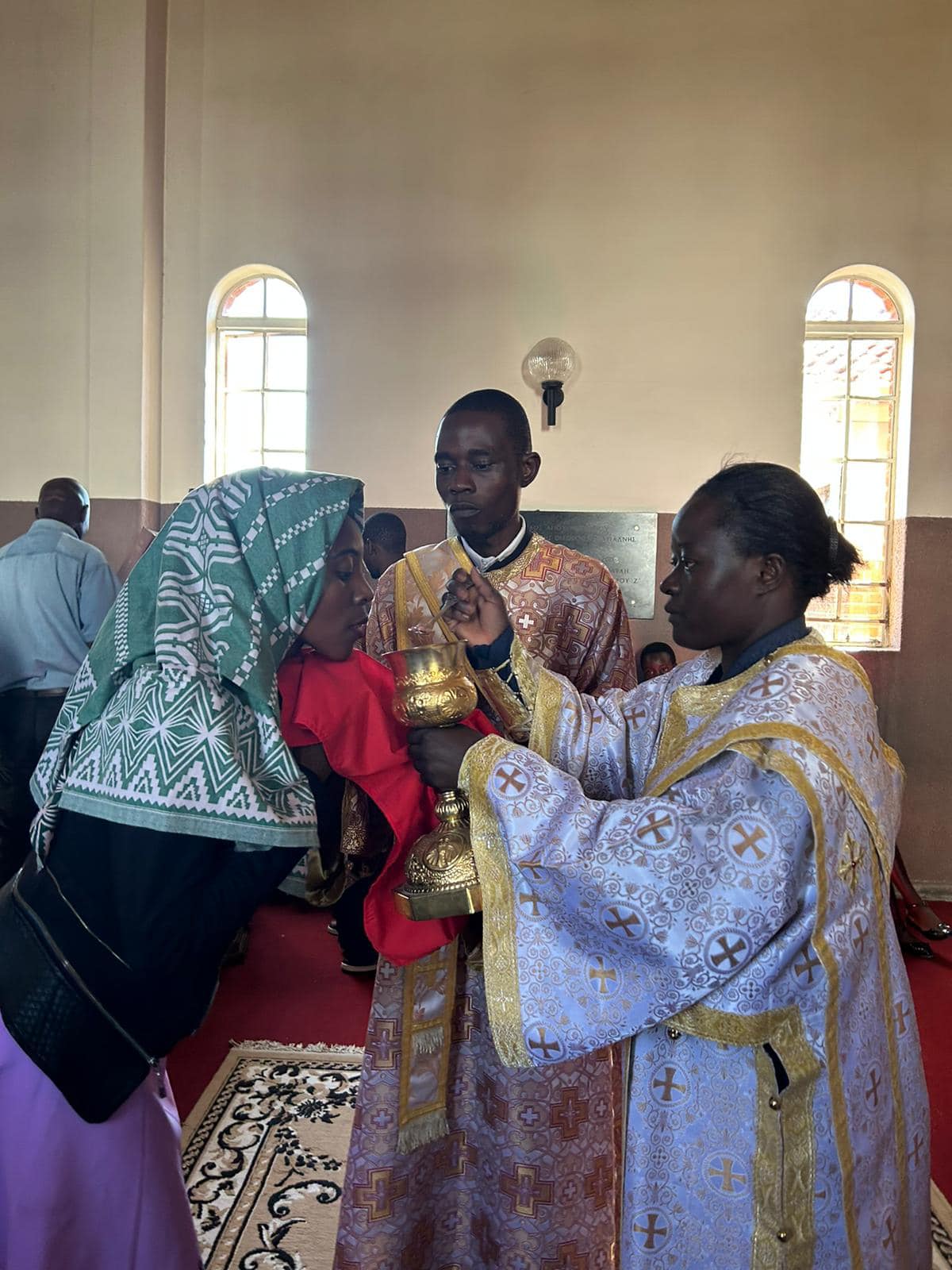 Αποικία Ορεινών Μανιταριών | από το Μανιτάρι του Βουνού